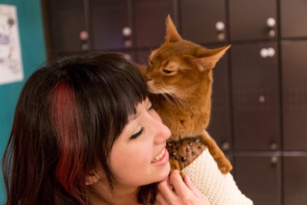 Ramen Library (Ramyun Library), EVERYTHING You Need to Know – Seoul ...