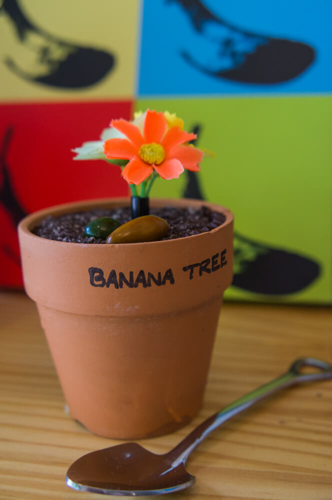 Banana Tree – Seoul Searching