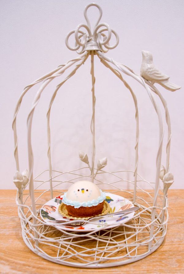 Adorable Bird Cafe in Osaka: Kotori Cafe – Seoul Searching