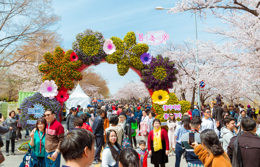 Yeouido Cherry Blossom Festival, Everything You Need to Know – Seoul ...