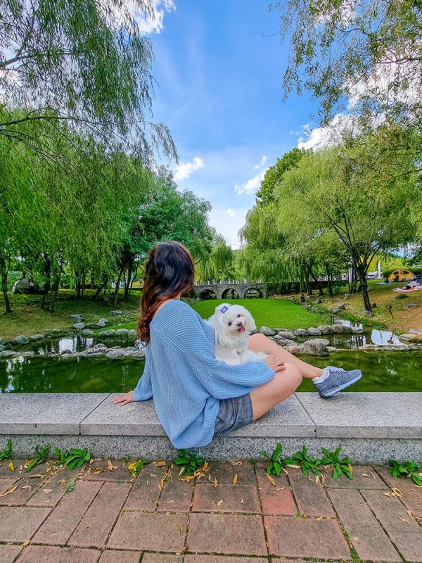 Cafe Pokpo: The Waterfall Cafe in Seoul – Seoul Searching