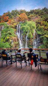 Cafe Pokpo: The Waterfall Cafe in Seoul – Seoul Searching