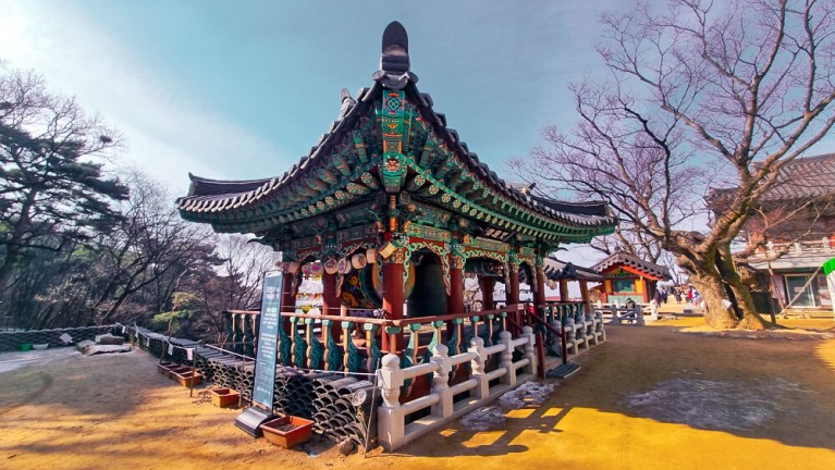 Cafe Pokpo: The Hidden, Viral Gem of Seoul – Seoul Searching