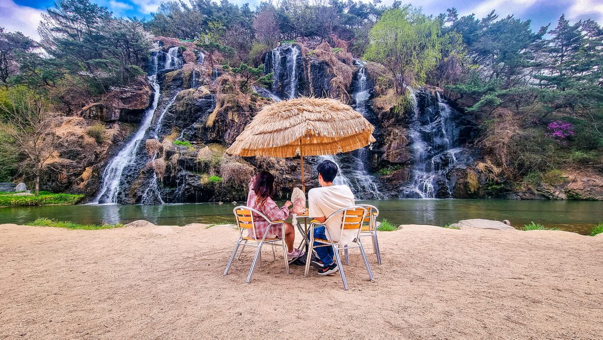 Cafe Pokpo: The Hidden, Viral Gem of Seoul – Seoul Searching