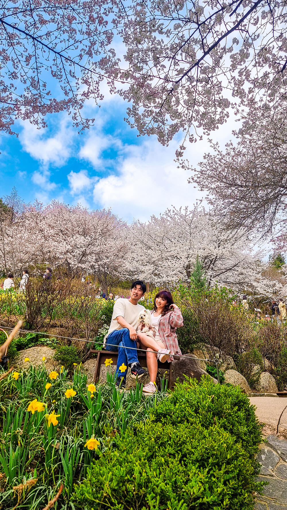 Cafe Pokpo: The Hidden, Viral Gem of Seoul – Seoul Searching