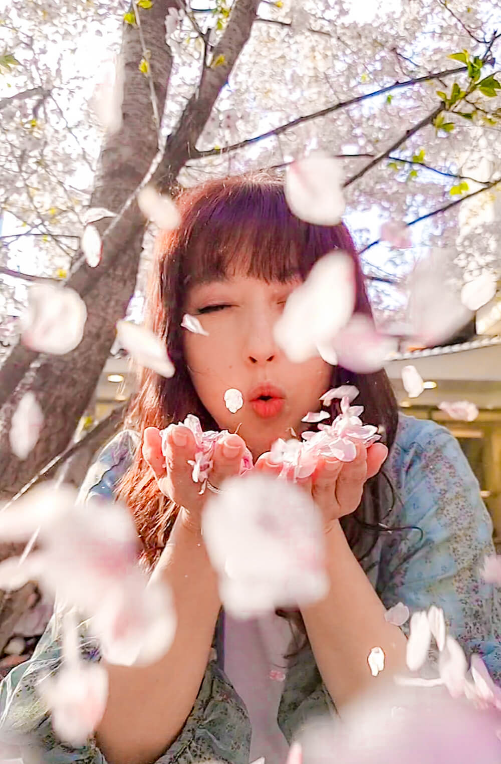 5 Tips for Visiting Cafe Pokpo – Seoul Searching