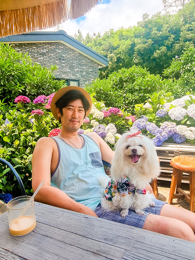 Jeju Goes Cottage-Core with Cafe Gyulkkot Darak – Seoul Searching