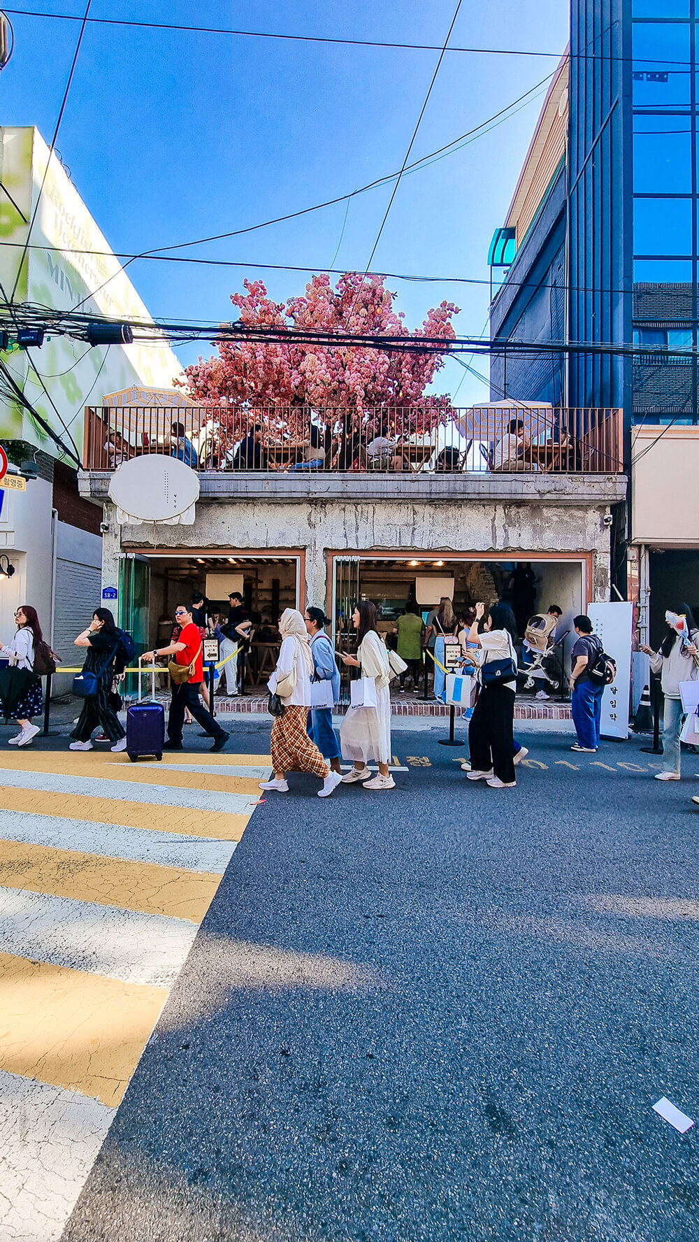 Dalim Bread in Seongsu: Un-BEARably Cute and Delicious – Seoul Searching
