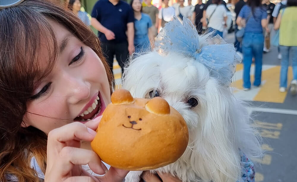 Dalim Bread in Seongsu: Un-BEARably Cute and Delicious – Seoul Searching