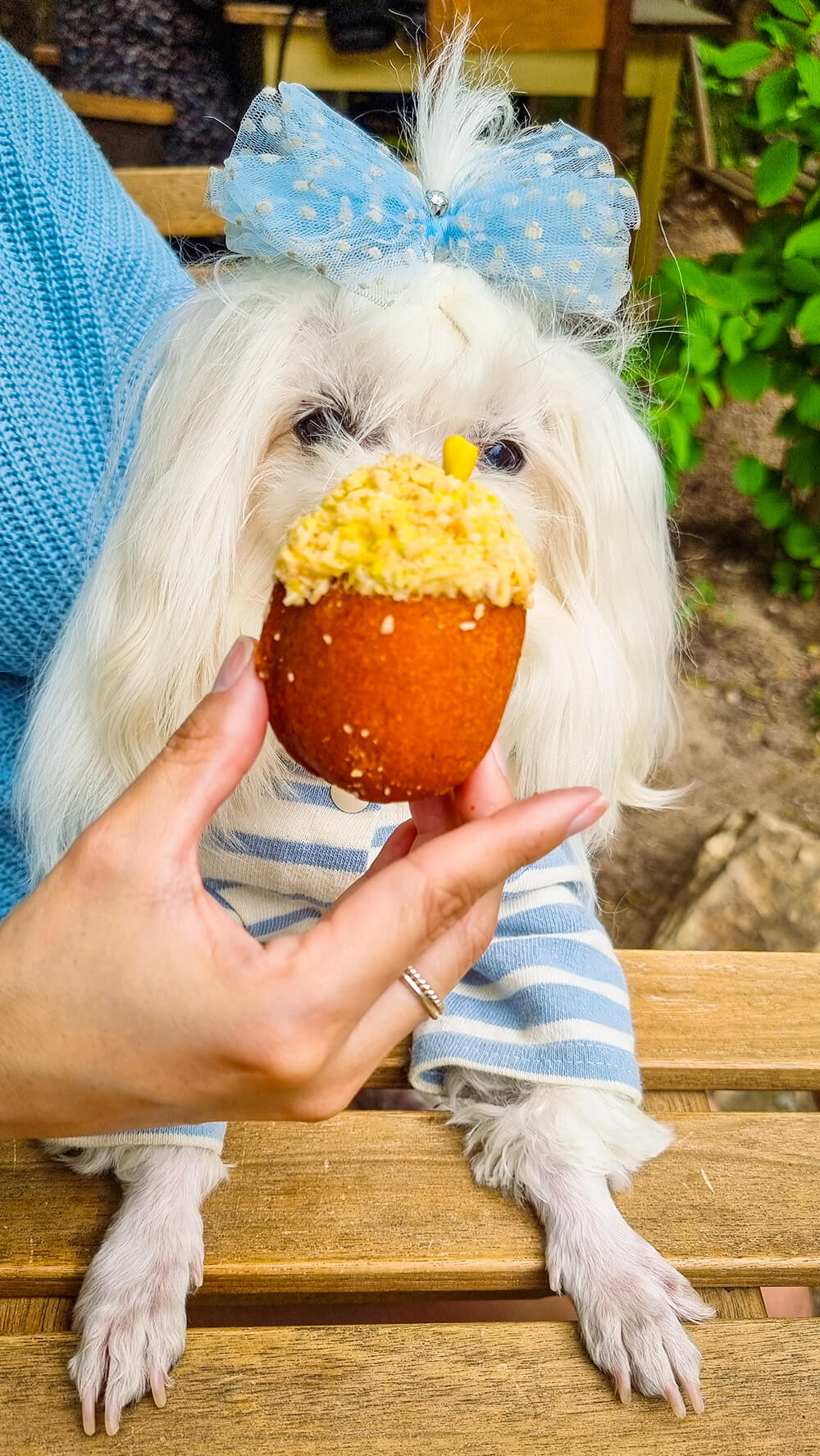 3 Trendy Seoul Cafes Worth All the Hype – Seoul Searching