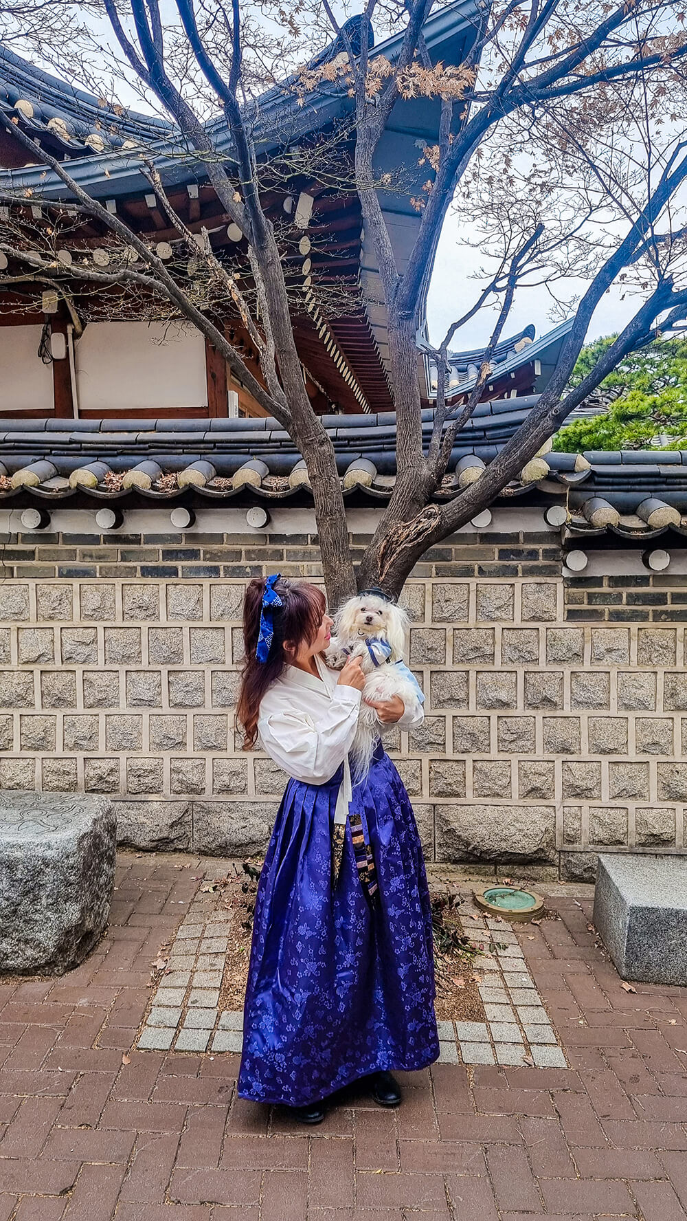 20250126 133227 2b Seoul Searching