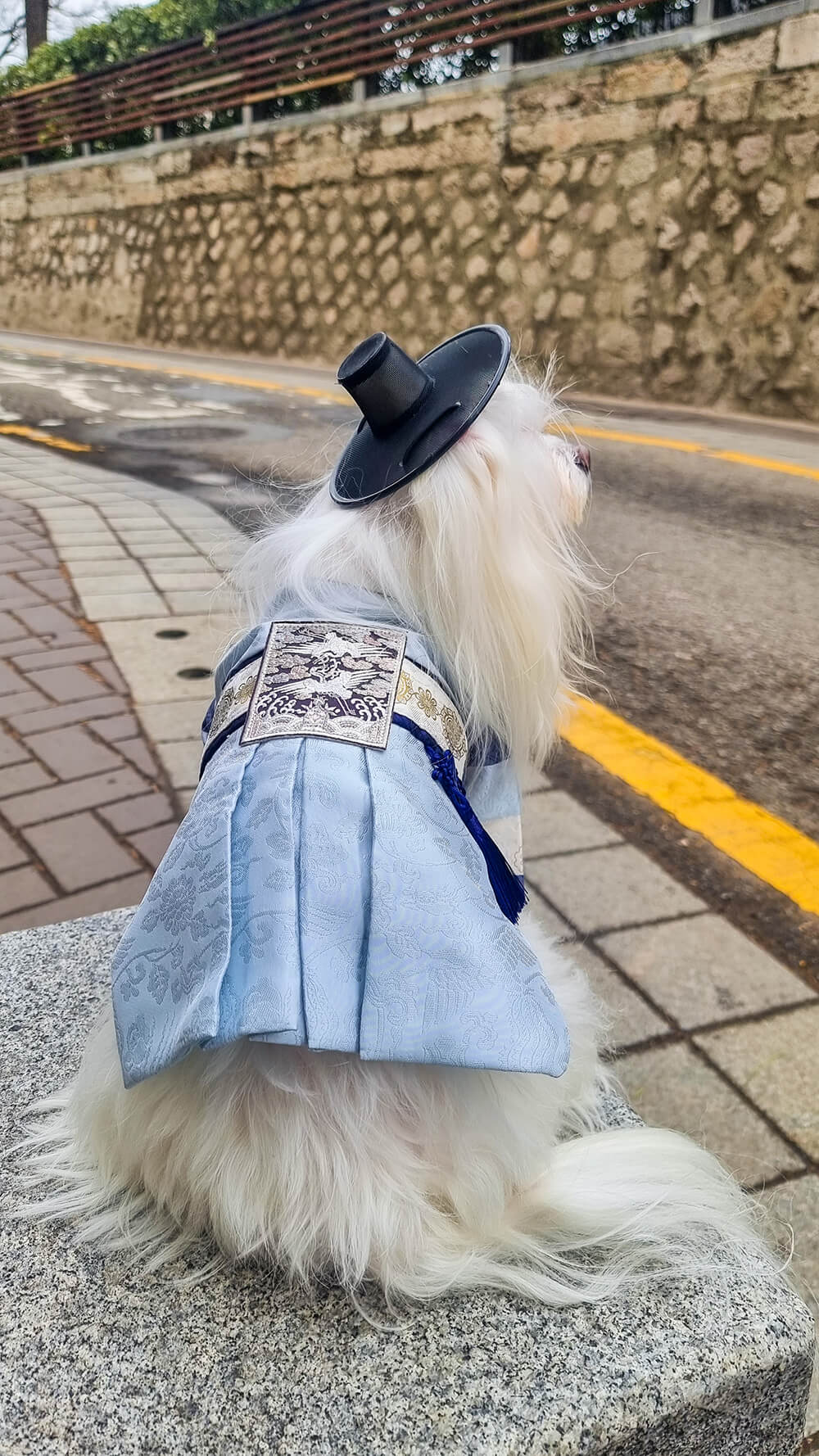 20250126 142453 2b Seoul Searching