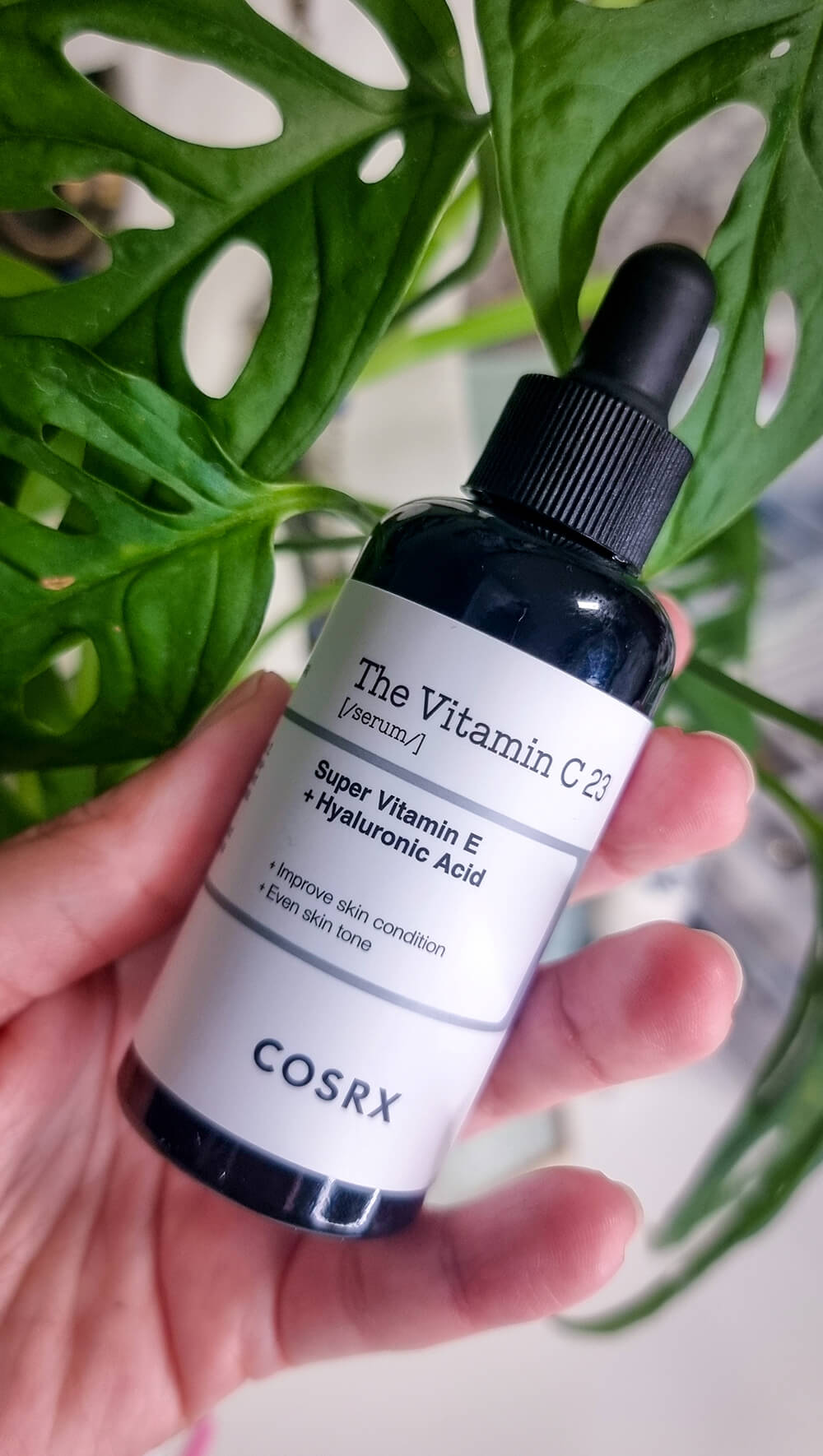 20250212_135248-2b – Seoul Searching