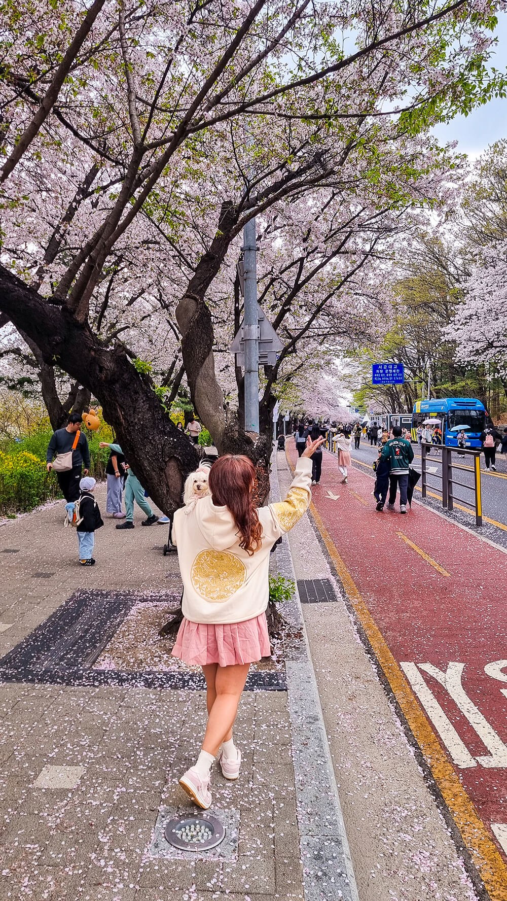 20250412_125912-2b – Seoul Searching